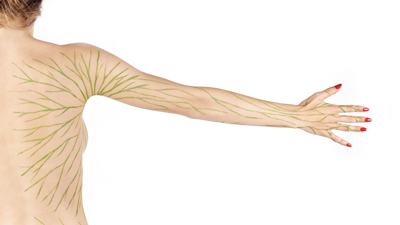 Manuele Lymfdrainage a.m. Vodder | Dr. Vodderschool België / Nederland